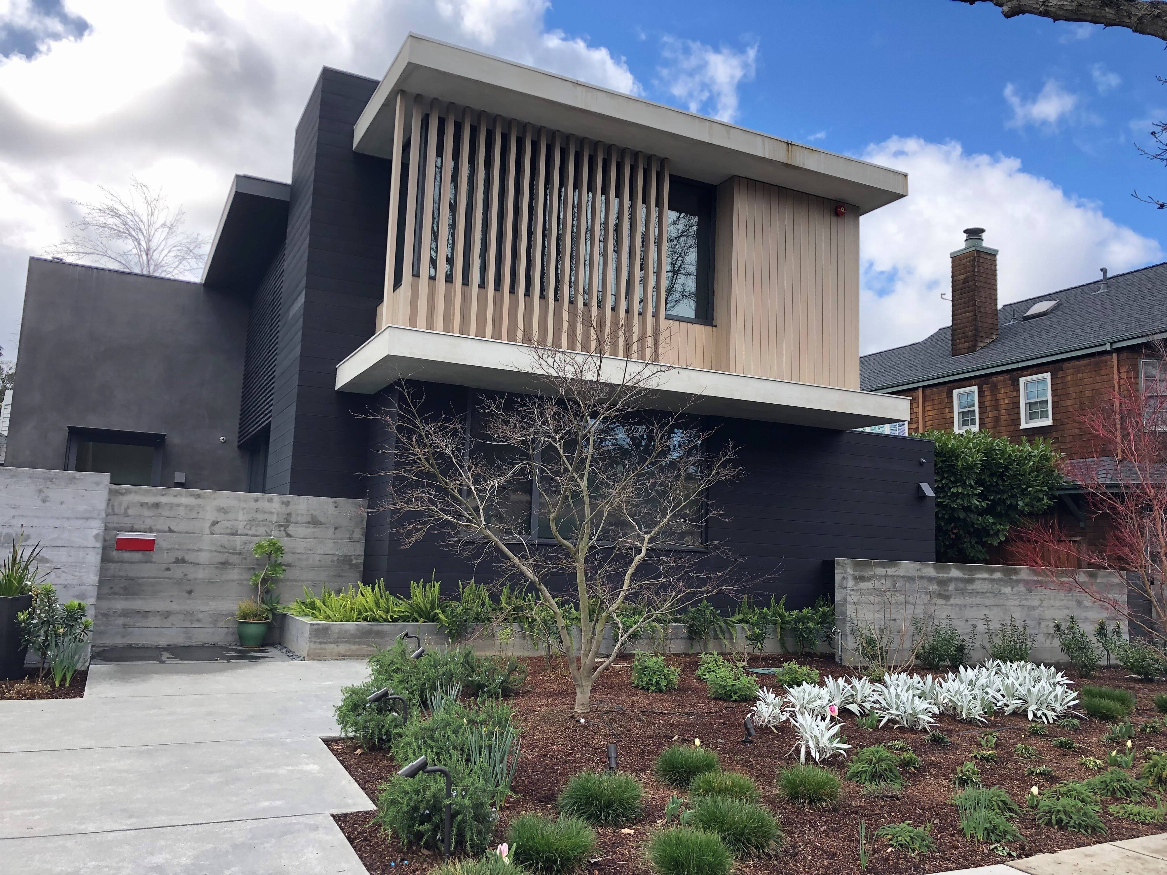 Sideritis cypria - Cyprus Ironwort | PlantMaster